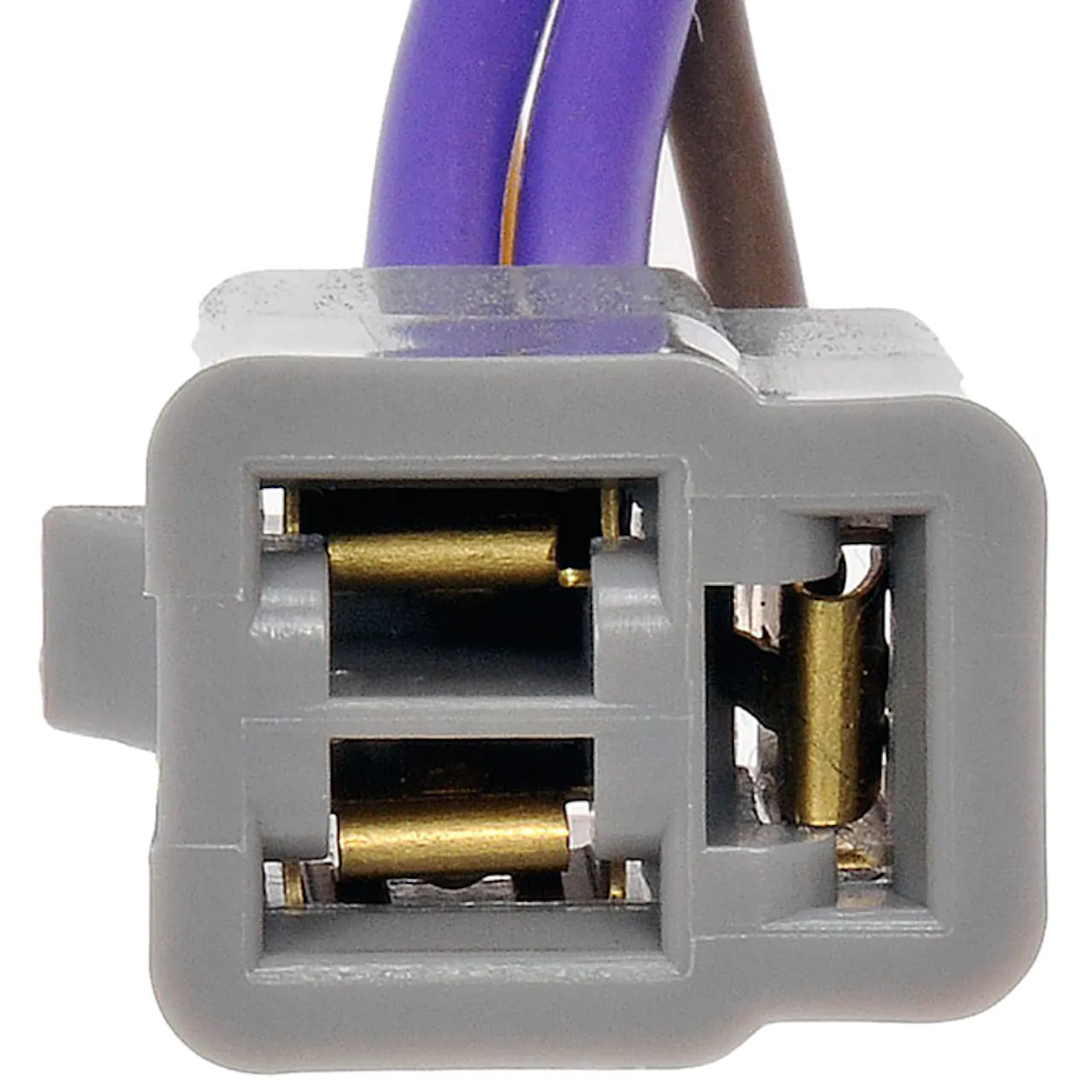 International Blower Motor Resistor Kit with Harness 1696836C1