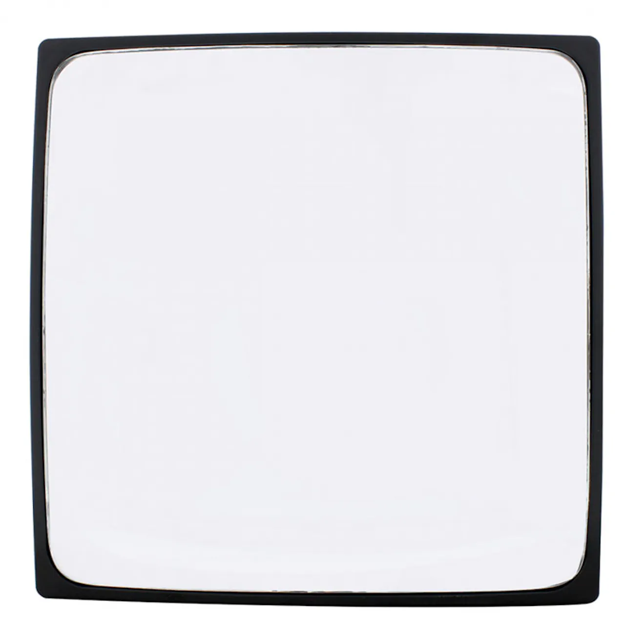 International ProStar Hood Mirrors 3594843C3 3594844C3