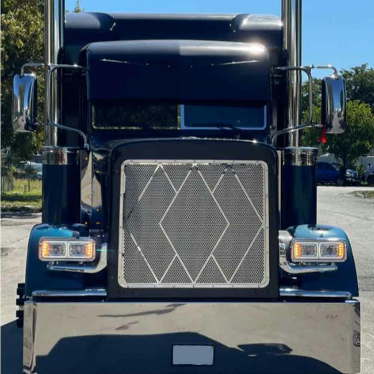 Peterbilt 379 Extended Hood Stainless Steel 3D Diamond Grille - Raney's ...