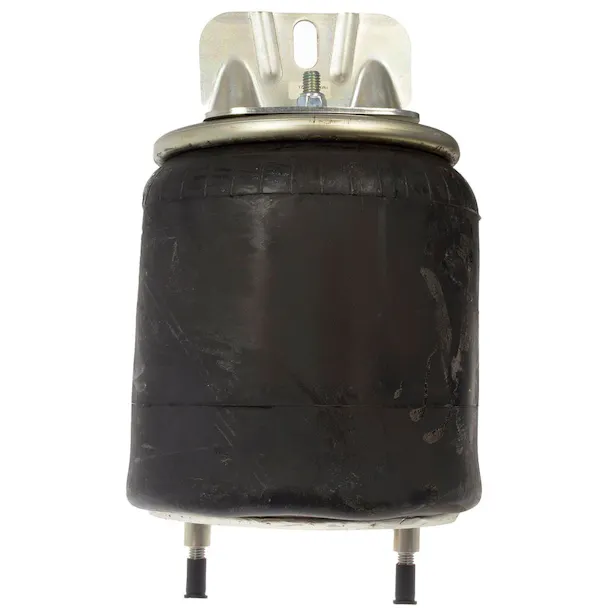 Hendrickson Rolling Lobe Air Spring W013589865 | Raney's