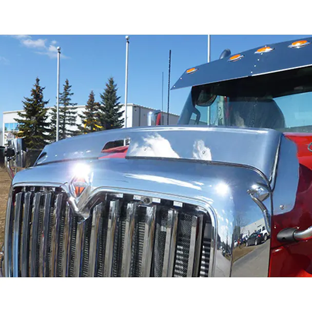 International HV Stainless Steel Bug Shield | Raney's