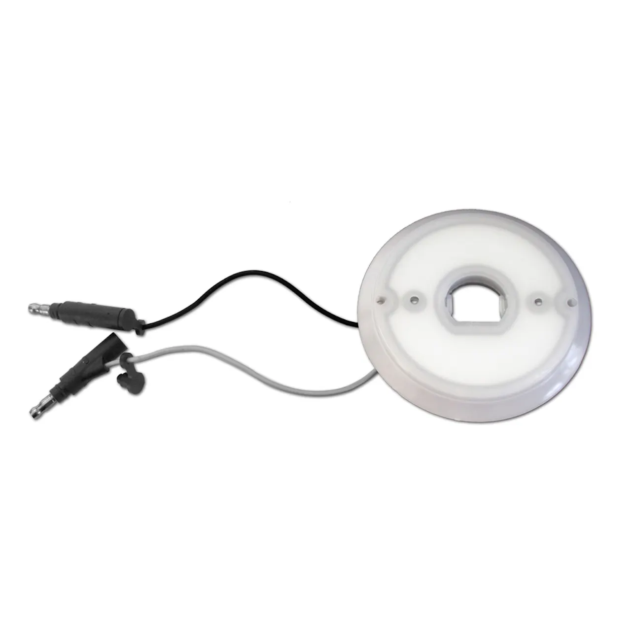 Halo Glow LED Light for Watermelon Lights | Raney’s
