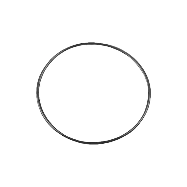 Muncie Power Take Off O-Ring | Raney's