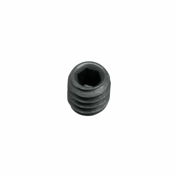 10 Pack Toggle Switch Extension Mini Allen Screws | Raney’s