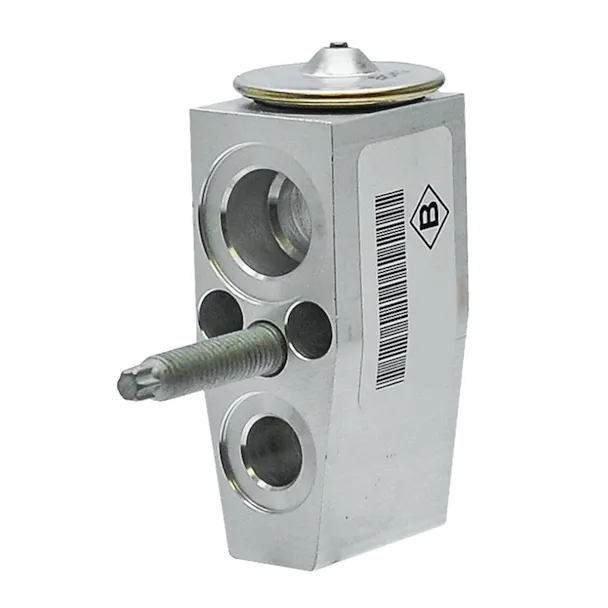 International Slim-Line Block Expansion Valve 2516574-C91 | Raney's